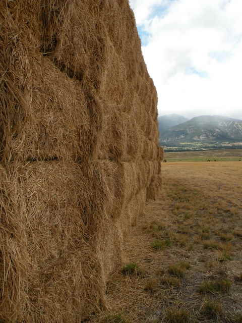Fall Irrigation | MPG Ranch