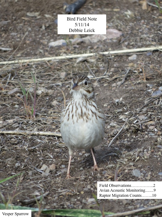 05-13-14 Bird Field Note | MPG Ranch