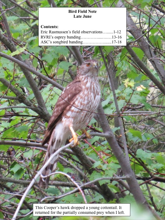 06-25-13 Bird Field Note | MPG Ranch