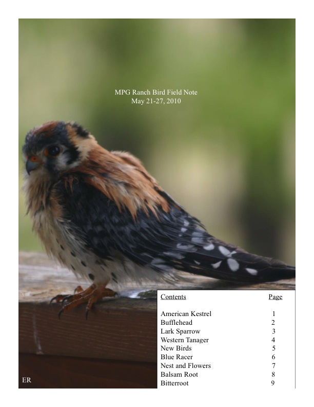 06-03-10 Bird Notes | MPG Ranch