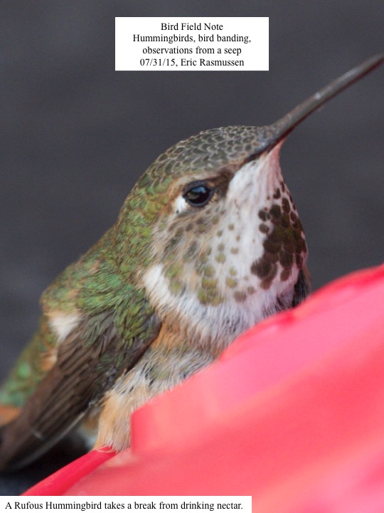 08-05-15 Bird Field Note | MPG Ranch