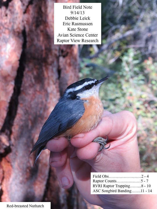 09-20-13 Bird Field Note | MPG Ranch