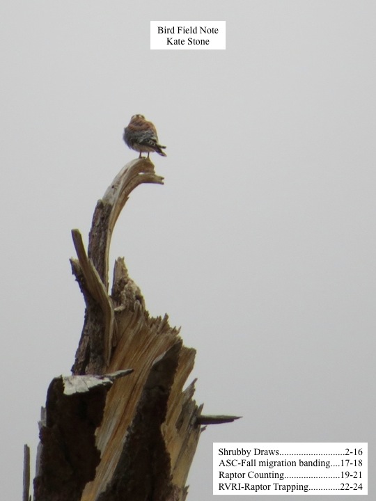 09-27-13 Bird Field Note | MPG Ranch