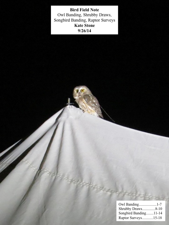 10-02-14 Bird Field Note | MPG Ranch