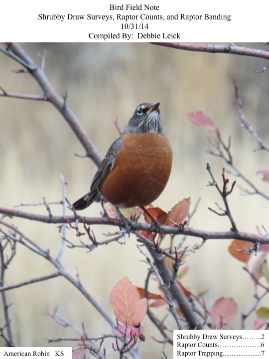 11-03-14 Bird Field Note | MPG Ranch