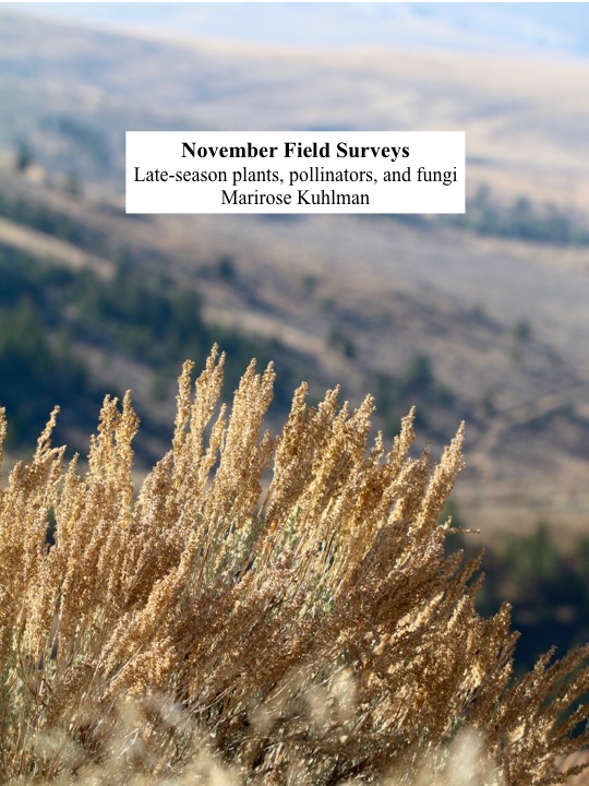 November Field Surveys | MPG Ranch