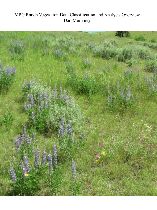 Vegetation Data Classification and Analysis Overview | MPG Ranch