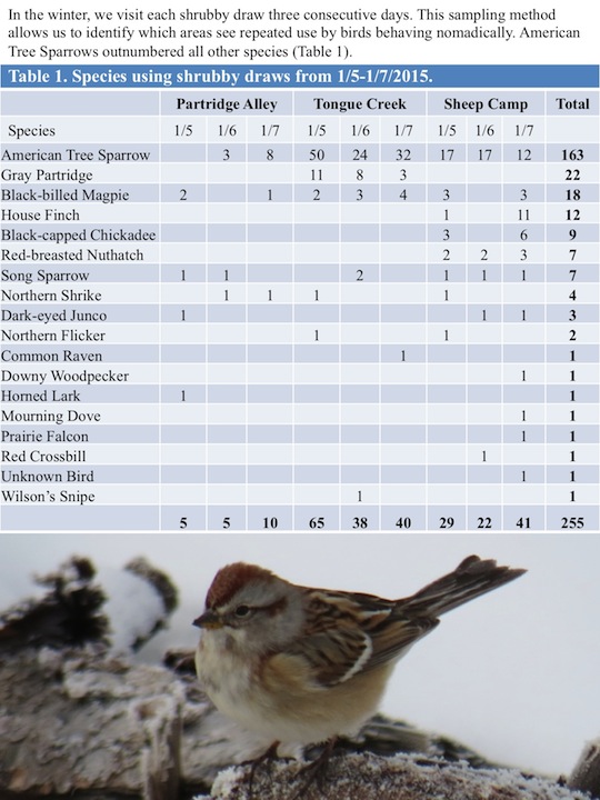 01-12-15 Bird Field Note | MPG Ranch