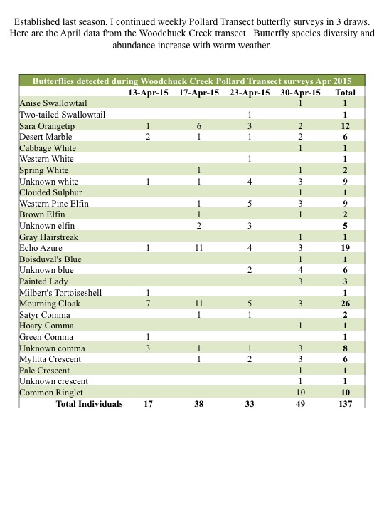 05-15-15 Butterfly Field Note | MPG Ranch