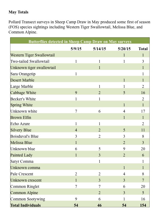 05-29-15 Butterfly Field Note | MPG Ranch