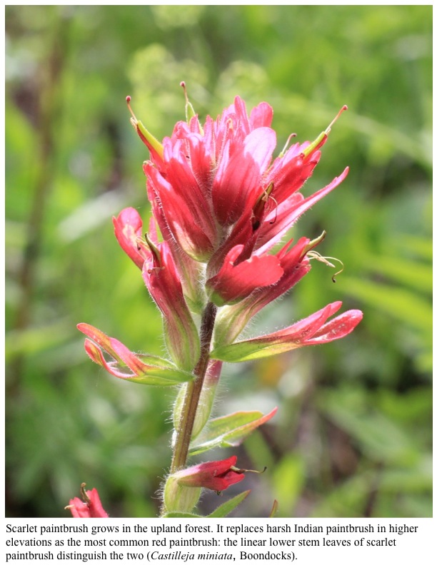 06-15-13 Field Note | MPG Ranch