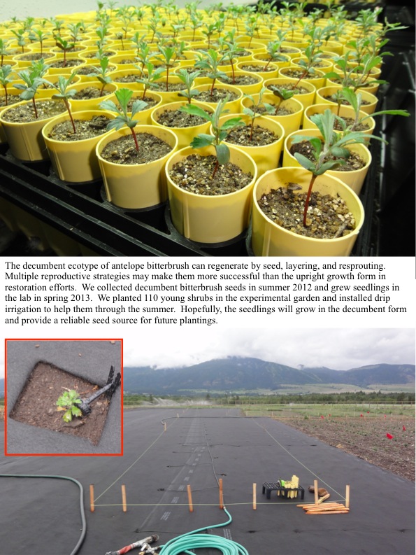 07-08-13 Field Note | MPG Ranch