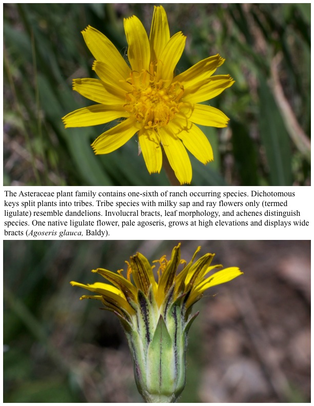 06-26-13 Field Note | MPG Ranch