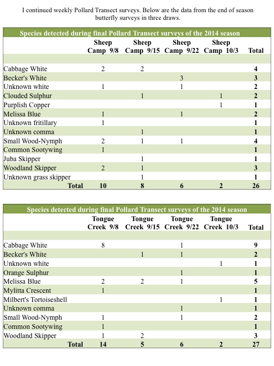 10-10-14 Butterfly Field Note | MPG Ranch