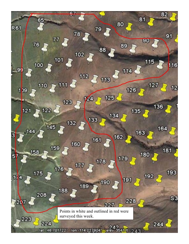 02-25-11 Winter Bird Counts | MPG Ranch