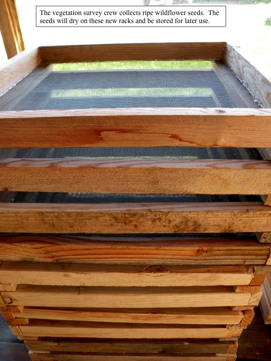 07-01-11 Verbenone Packets, Wildflowers | MPG Ranch