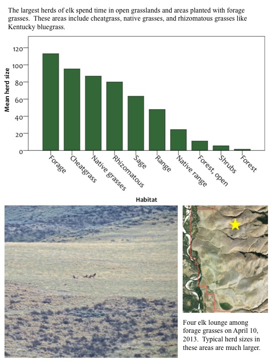 Elk Monitoring Summary | MPG Ranch