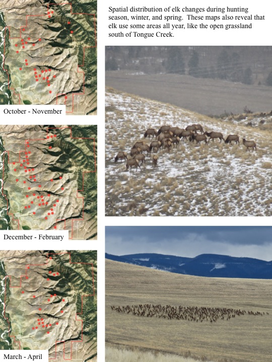 Elk Monitoring Summary | MPG Ranch