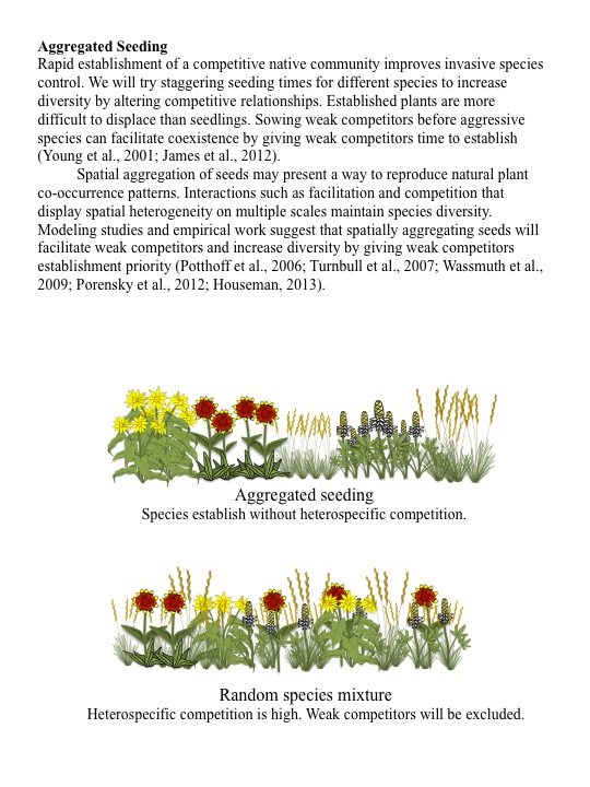 Improving Native Seeding Strategies | MPG Ranch