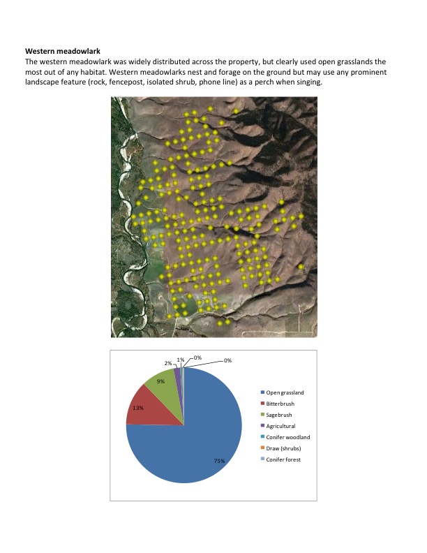2010 Point Count Summary and Analysis | MPG Ranch